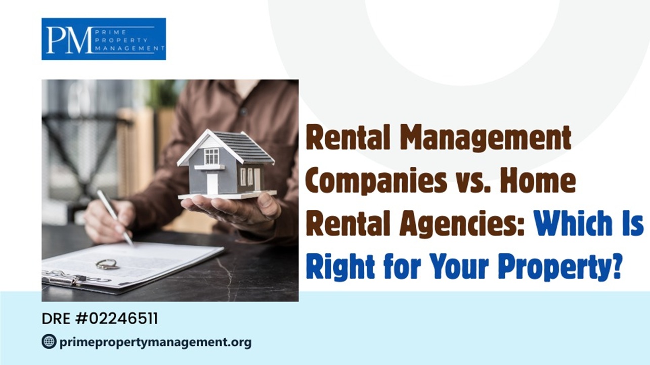 Rental Management Companies vs. Home Rental Agencies: Which Is Right ...